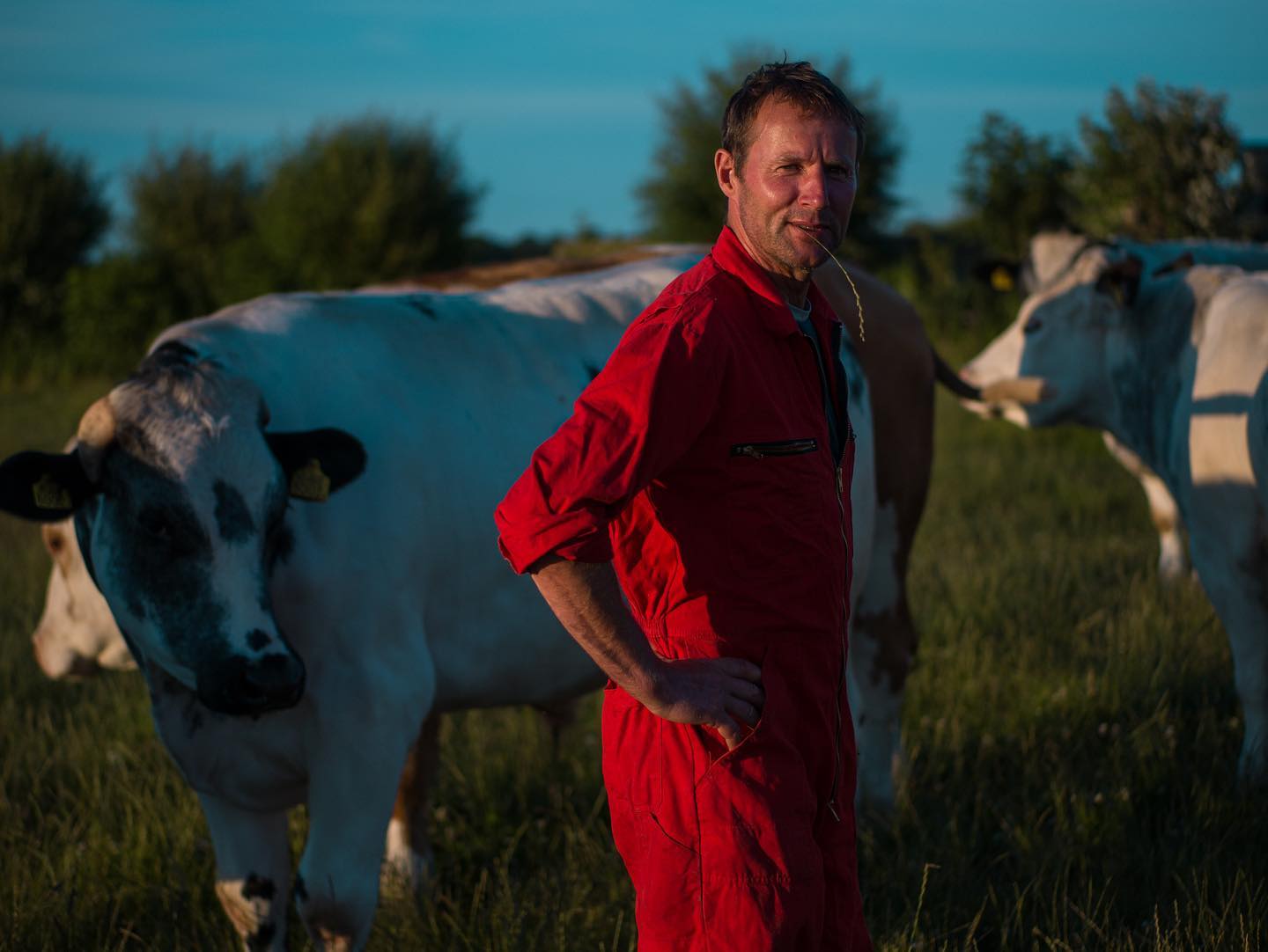 Eerlijk vlees direct van de boer: het vleespakket van Boer Joep! | Foodini