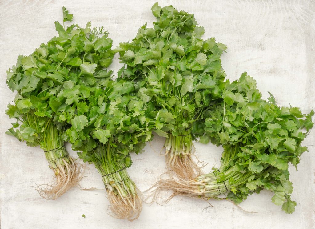 Met deze tips blijft je eten langer vers! | Foodini